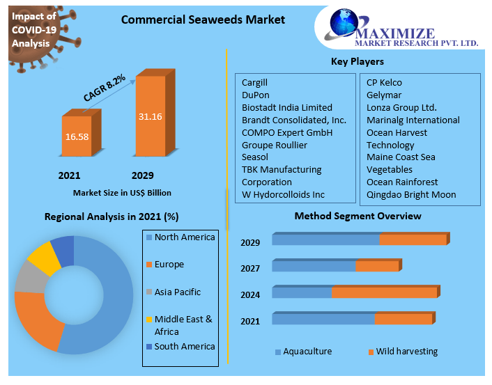 Commercial Seaweeds Market - Global Analysis and Forecast 2029