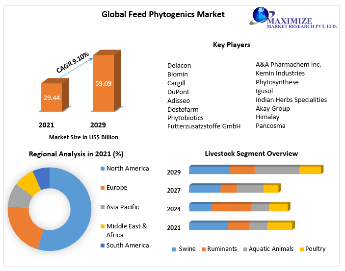 Feed Phytogenics Market - Global Industry Analysis and Forecast | 2029