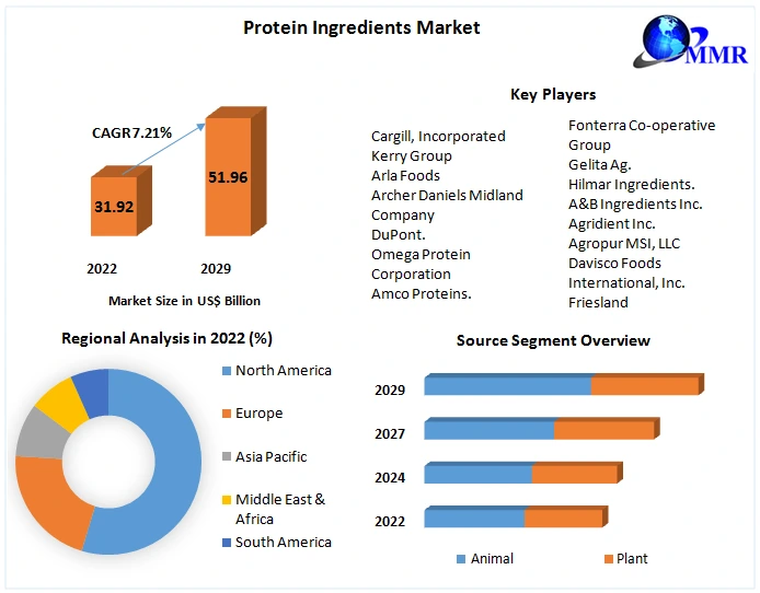 Protein Ingredients Market: Global Industry Analysis and Forecast (2029)