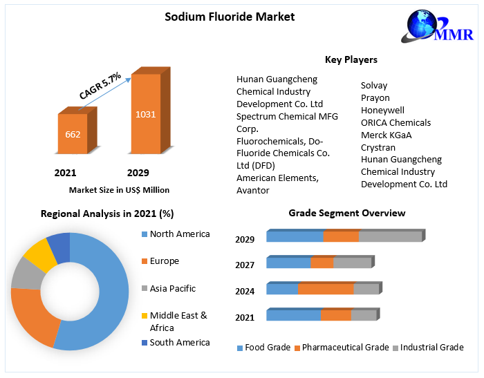 Sodium Fluoride Market - Global Industry Analysis And Forecast