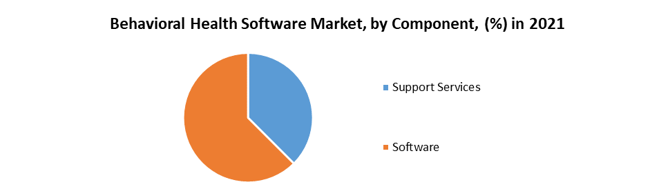Behavioral Health Software Market: Global Overview and Forecast | 2029