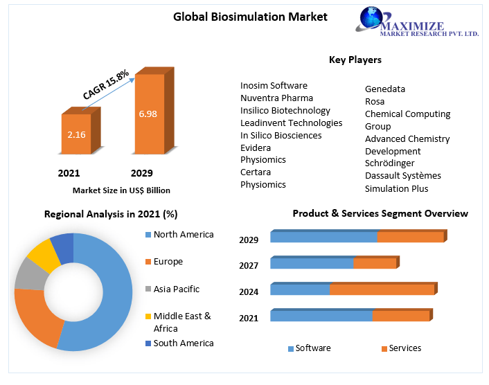 Biosimulation Market: Global Industry Analysis and Forecast (2022-2029)