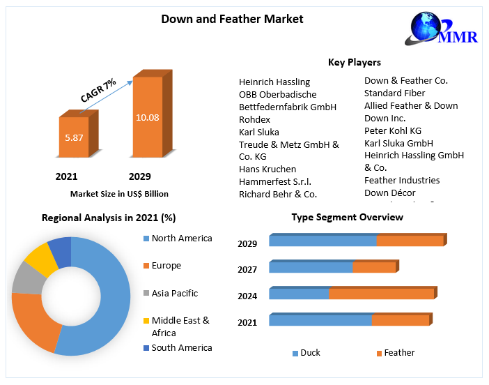 Down and Feather Market – Global Industry Analysis and Forecast