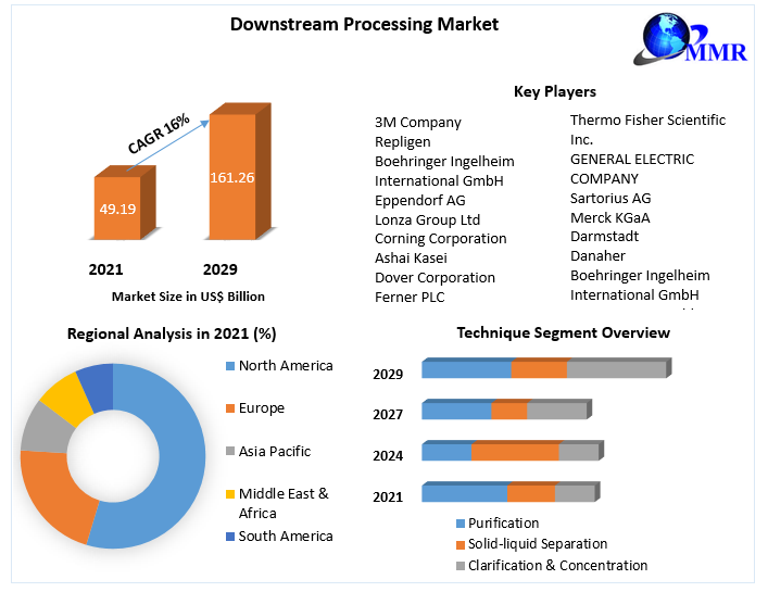 Downstream Processing Market - Industry Analysis and Forecast 2029