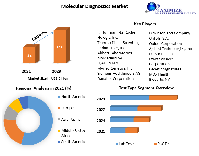 Molecular Diagnostics Market: Global Trends, Statistics, Dynamics | 2029