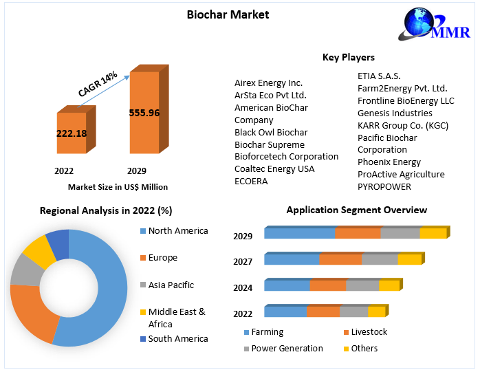 Biochar Market: Global Industry Analysis And Forecast (2023-2029)