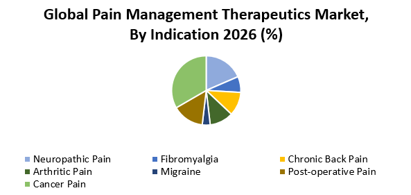 Global Pain Management Therapeutics Market: Industry Analysis