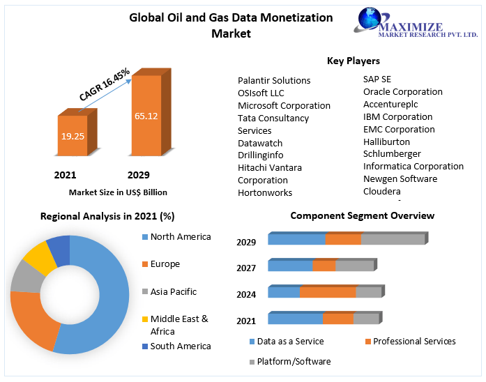Oil and Gas Data Monetization Market - Industry Analysis and Forecast