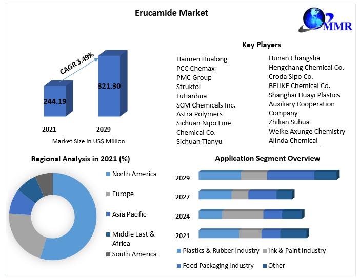 Erucamide Market - Global Industry Analysis and Forecast (2022-2029)