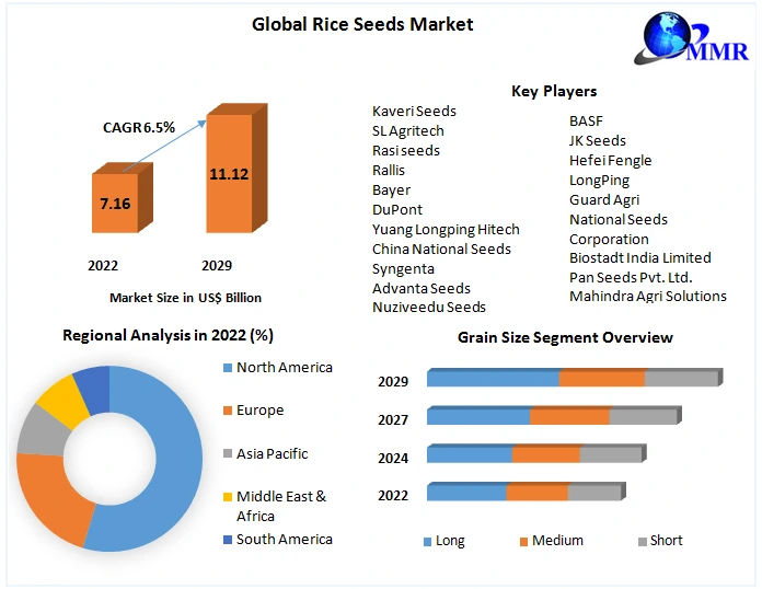 Rice Seeds Market - Global Industry Analysis and Forecasts 2023-2029