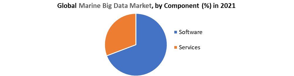 Marine Big Data Market: Global Industry Analysis And Forecast 2029