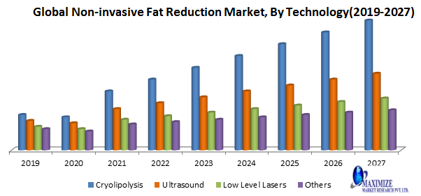 Global Non-invasive Fat Reduction Market- Industry Analysis (2019-2027)