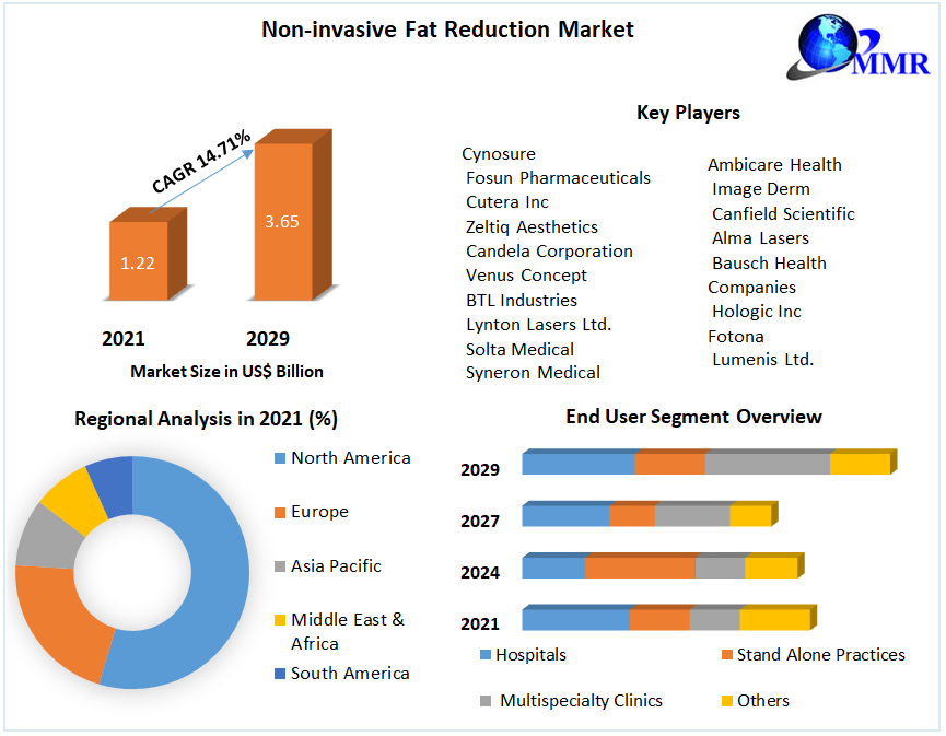 Non-invasive Fat Reduction Market: Global Analysis and Forecast 2029