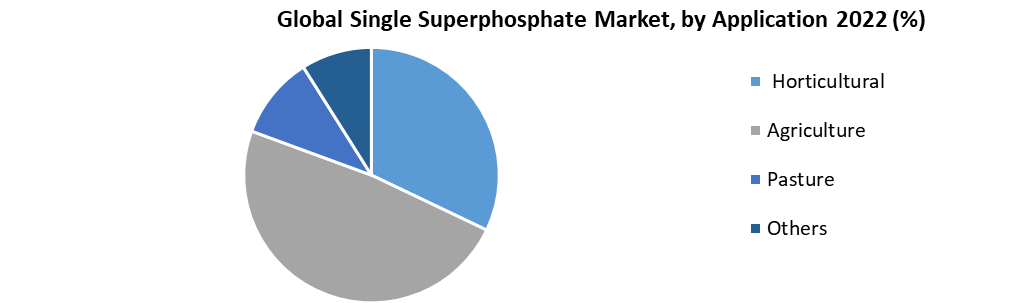 Single Superphosphate (SSP) Market: Global Industry Analysis 2023-2029