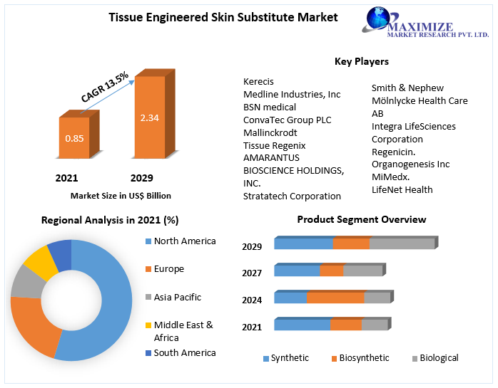 Tissue Engineered Skin Substitute Market- Industry Analysis and forecast