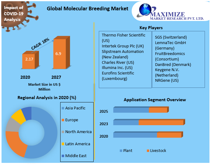 Molecular Breeding Market: Global Industry Analysis and Forecast