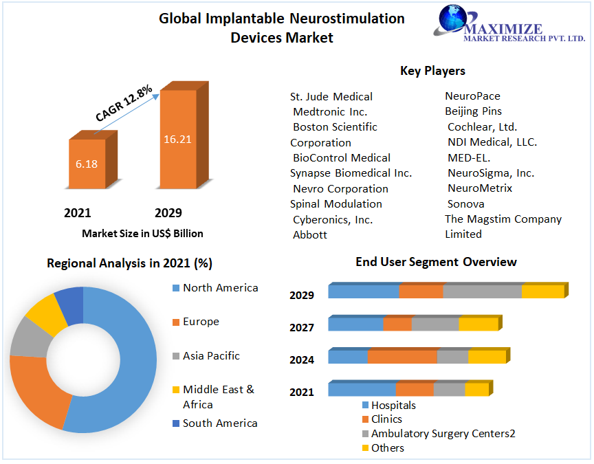 Implantable Neurostimulation Devices Market:Global Industry Analysis