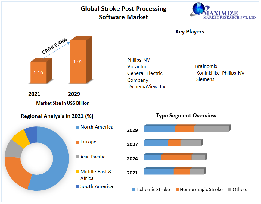 Stroke Post Processing Software Market:Global Analysis & Forecast 2029