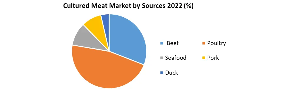 Cultured Meat Market -Global Industry Analysis and Forecast (2023-2029)