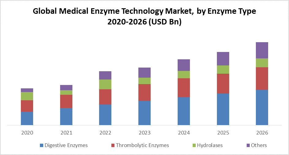 Global Medical Enzyme Technology Market: Industry Analysis