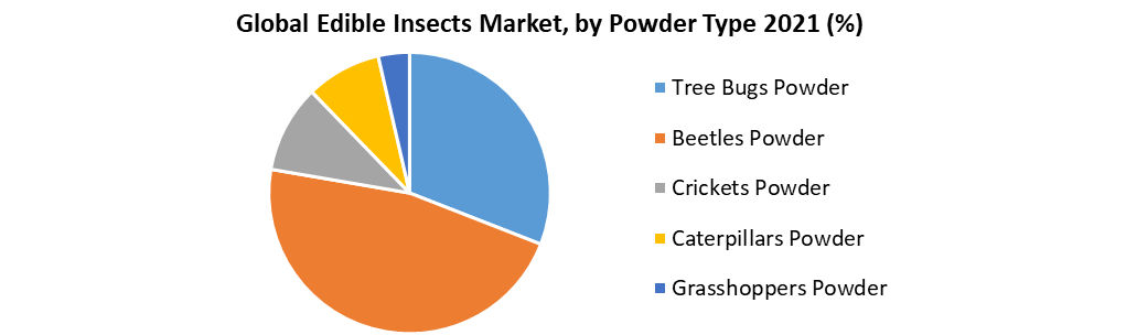 Edible Insects Market - Growth, Trends and Forecast | 2029