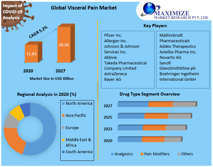 Visceral Pain Market: Global Industry Analysis and Forecast