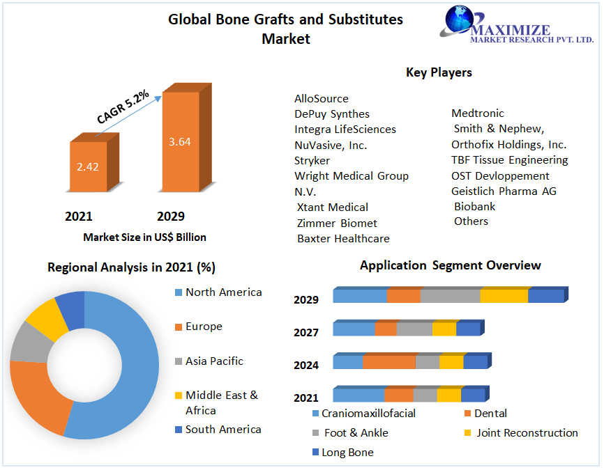 Bone Grafts and Substitutes Market: Global Industry Analysis 2029