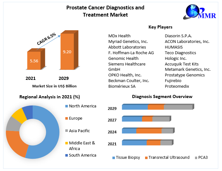 Prostate Cancer Diagnostics and Treatment Market: Global Industry 2029