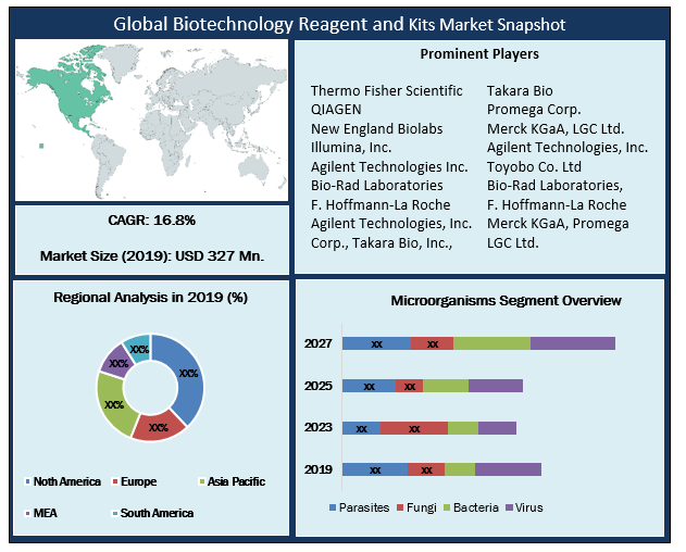 Global Biotechnology Reagent and Kits Market: Industry Analysis