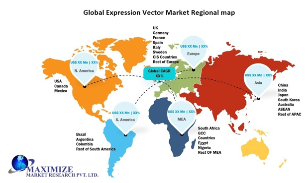Global Expression Vector Market: Industry Analysis and Forecast