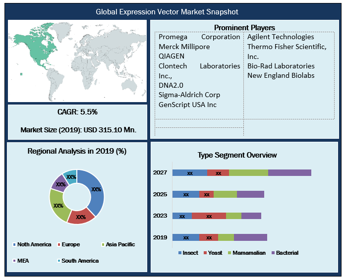Global Expression Vector Market: Industry Analysis and Forecast