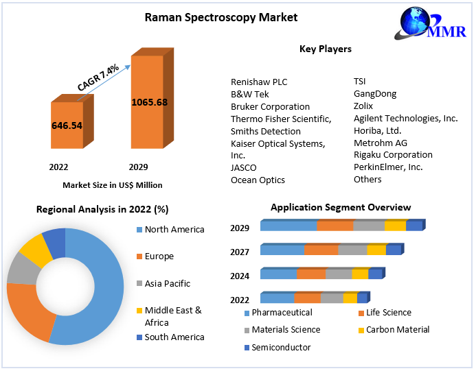 Raman Spectroscopy Market: Global Industry Analysis and Forecast -2029