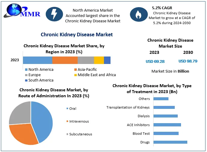Chronic Kidney Disease Market - Industry Analysis Forecast 2030