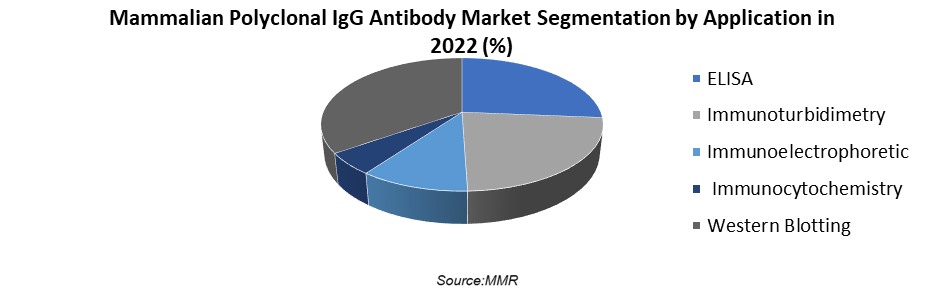Mammalian Polyclonal IgG Antibody Market: Global Industry Analysis