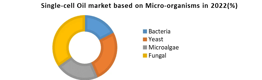 Single Cell Oil Market: Global Industry Analysis and Forecast (2023-2029)