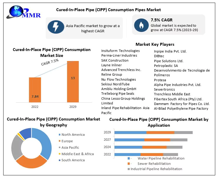 Cured-In-Place Pipe Consumption Market: Analysis and Forecast 2029