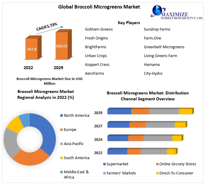 Broccoli Microgreens Market Size, Growth, Opportunities & Trends 2029