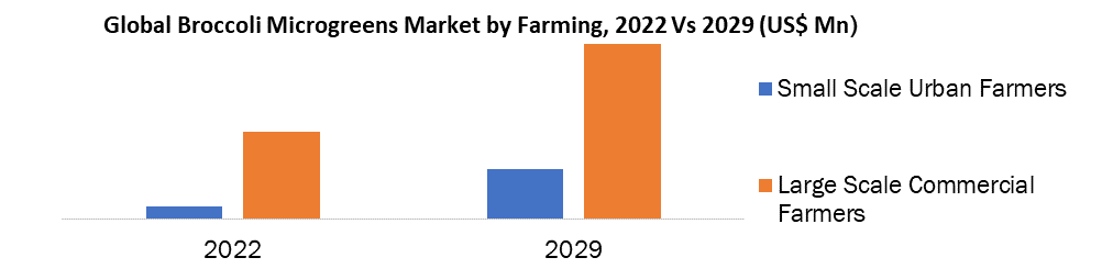 Broccoli Microgreens Market Size, Growth, Opportunities & Trends 2029