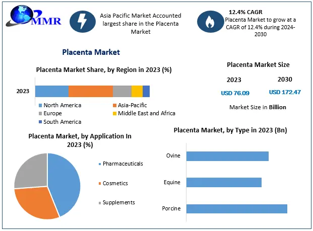 Placenta Market - Industry Analysis and Forecast (2024 -2030)