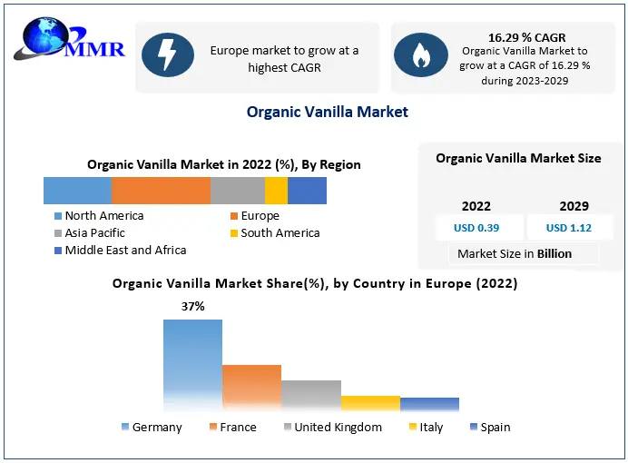 Organic Vanilla Market: Derivatives Categories Analysis 2029