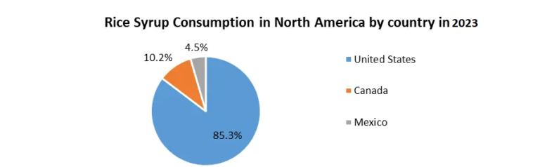 Rice Syrup Market: Shift in Dietary Patterns and Lifestyle