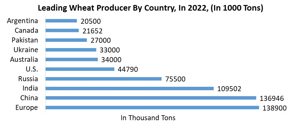 Whole Grain Food Market: Industry Analysis